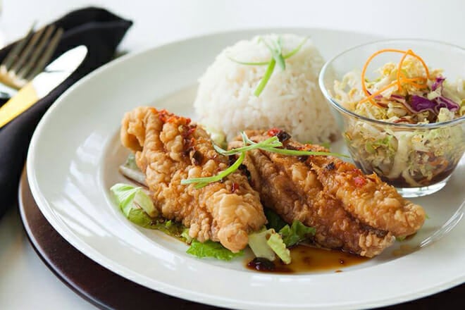 yumm thai sushi and beyond