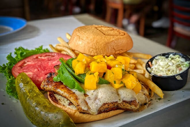 Blue Dog Bar & Grill