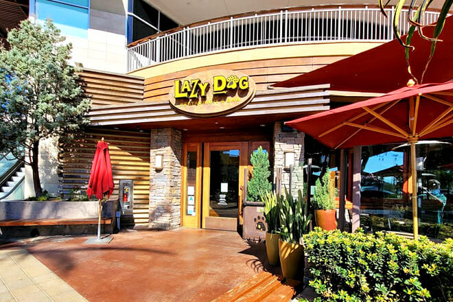 Lazy Dog Restaurant & Bar