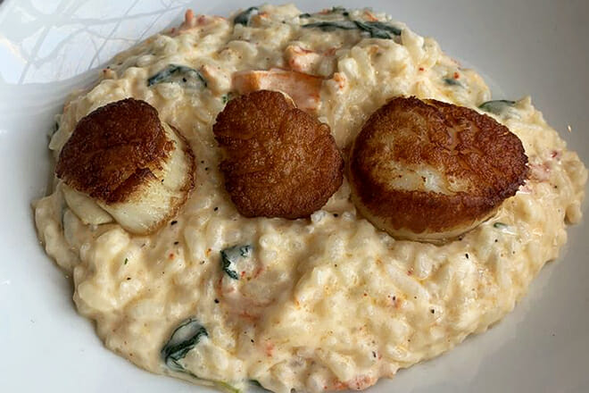 The Grilled Oyster Company