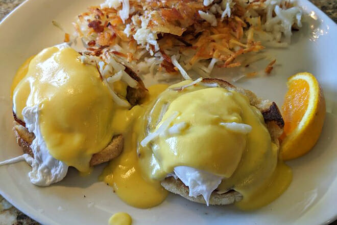 Atlantis Purple Parrot