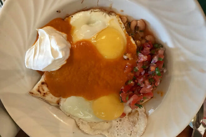 Black-Eyed Susan's &mdash; Nantucket, Massachusetts