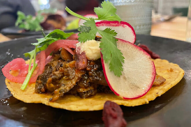 Bloom Plant Based Kitchen