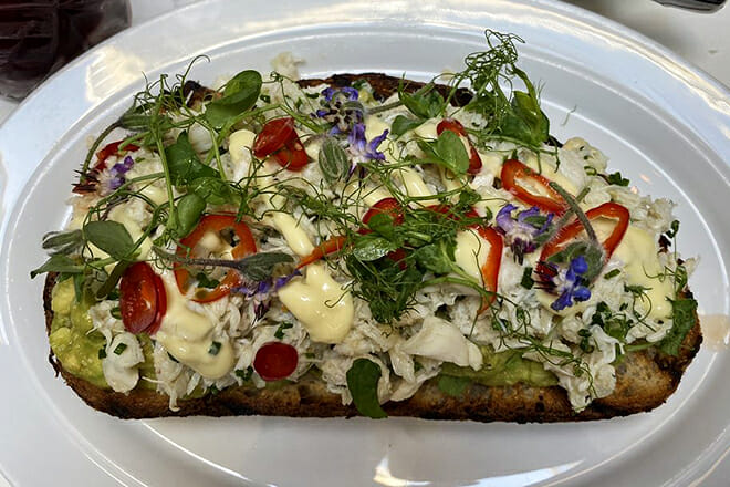 Duck Duck Goose Baltimore