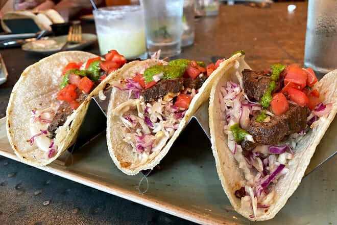 Elephant and The Dove