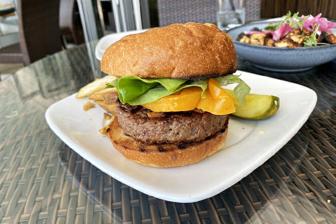 Harvest Seasonal Grill