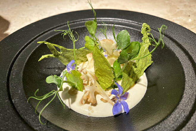 K&rsquo;u&rsquo;uk in M&eacute;rinda, Yucat&aacute;n