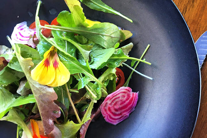 Laja (Ensenada, Mexico)