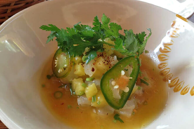 Ma&iacute;z de Mar (Playa del Carmen, Mexico)