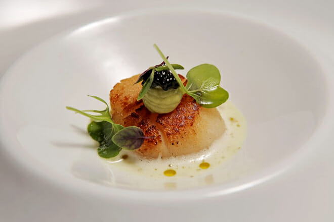 NeXtia (San Miguel de Allende, Mexico)