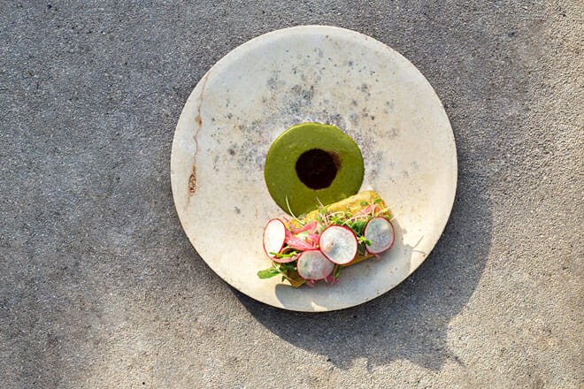 N&eacute;ctar (M&eacute;rida, Mexico)