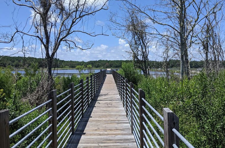 huntington beach state park