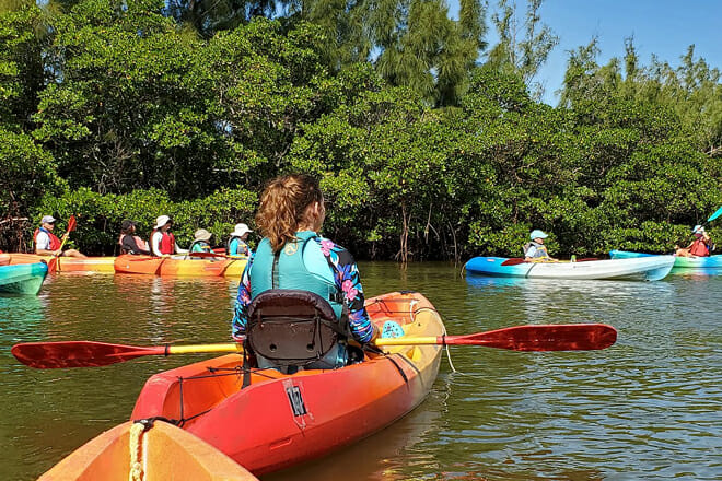 manatee observation and education center, fort pierce
