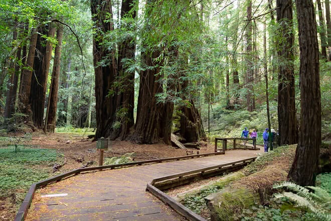 muir woods national monument
