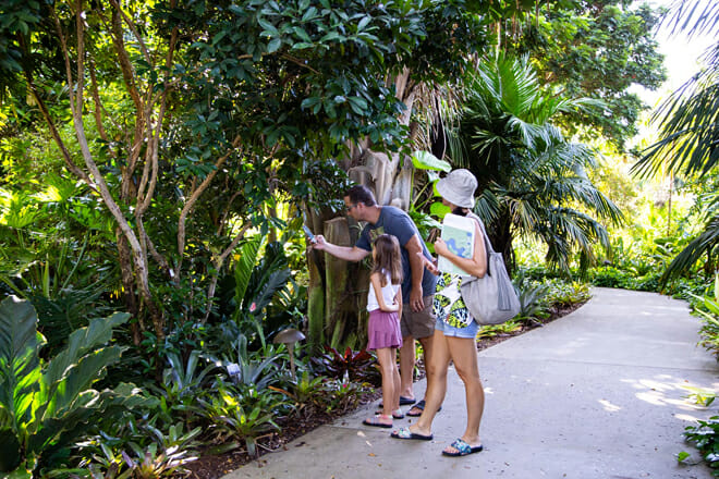 naples botanical gardens, naples