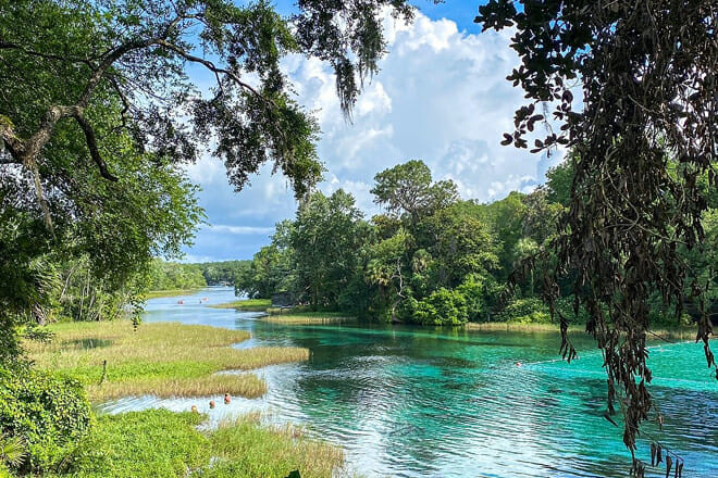 rainbow springs state park, dunnellon