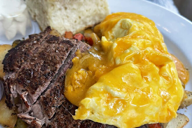 The Bee & The Biscuit