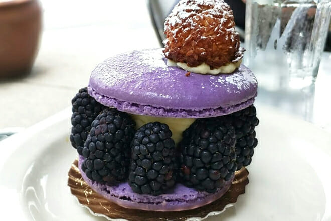 Blue Dog Bakery & Cafe