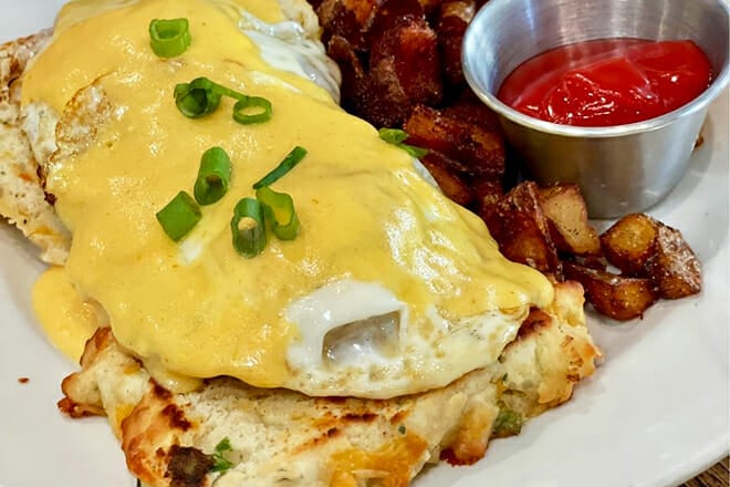 Brown Hound Downtown