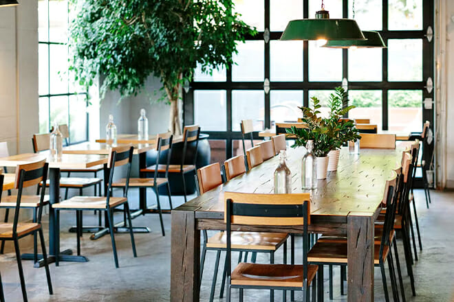 Fox in the Snow Cafe