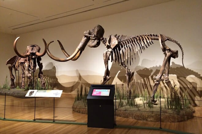 Indiana State Museum