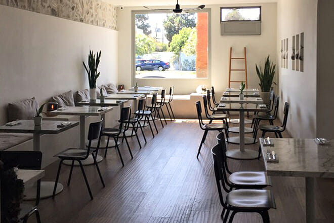 Plant Food + Wine Venice