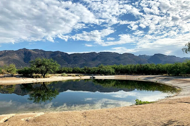 Agua Caliente Park
