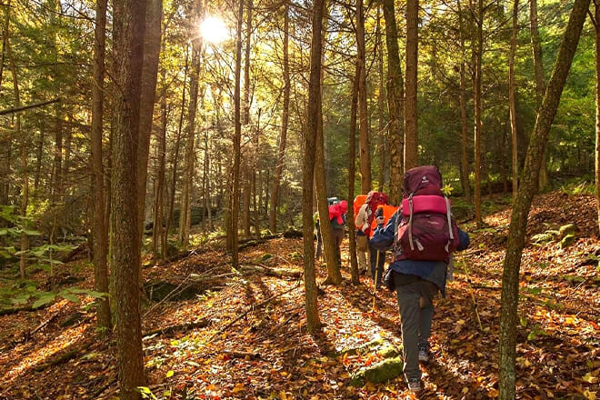 Allegheny National Forest