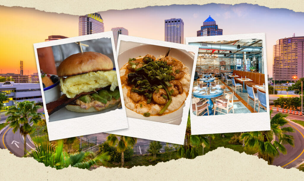 best brunch in tampa travel photo