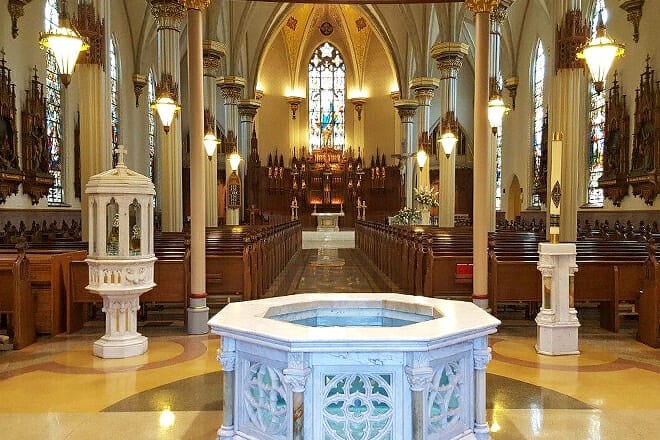 Cathedral of the Immaculate Conception