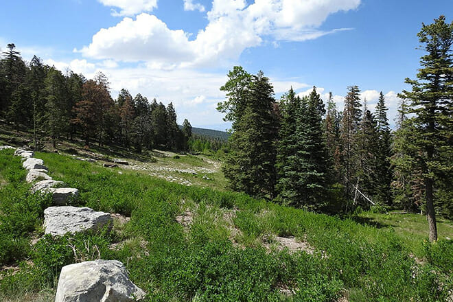 Cibola National Forest & National Grasslands