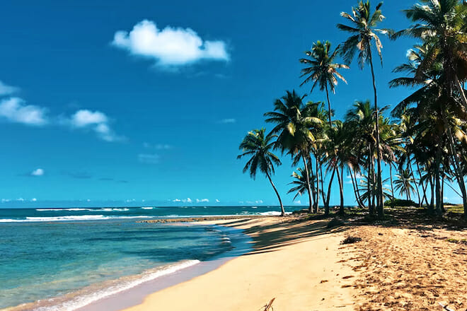 Dominican Republic Tourist Needs