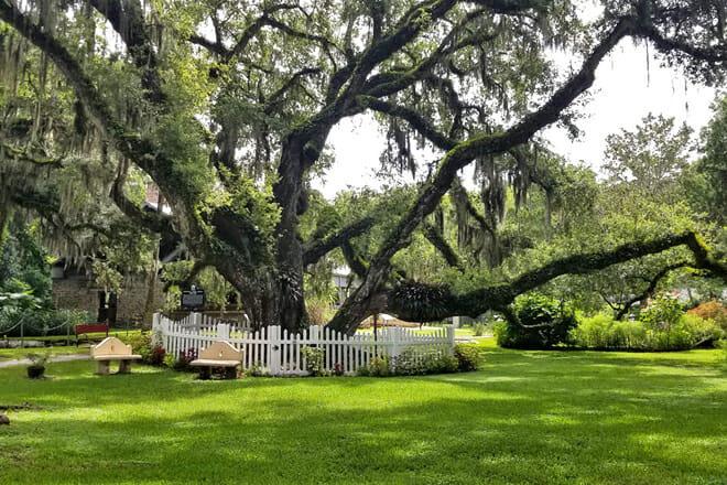 Dunlawton Sugar Mill Gardens