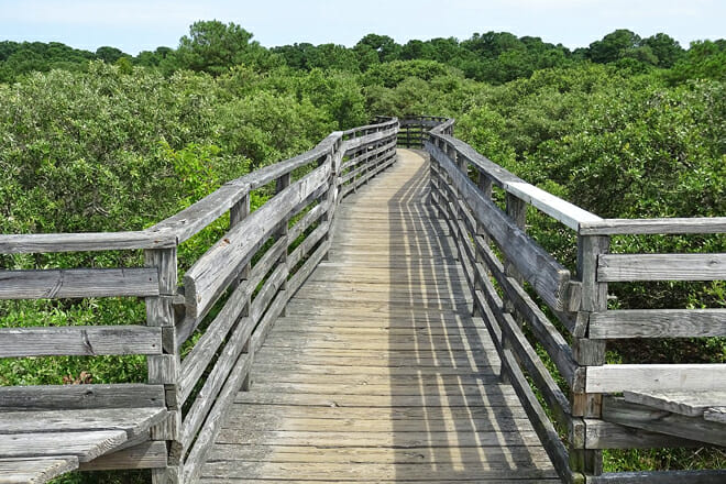 First Landing State Park