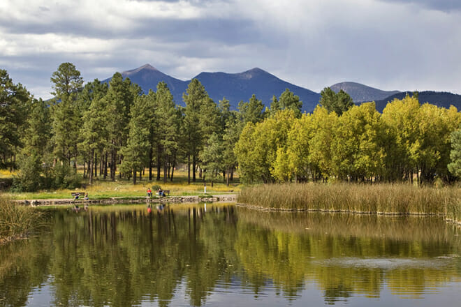 Flagstaff&rsquo;s Parks