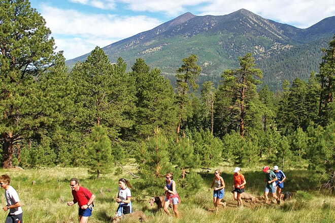 Flagstaff&rsquo;s Trails