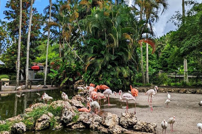 Flamingo Gardens &mdash; Davie