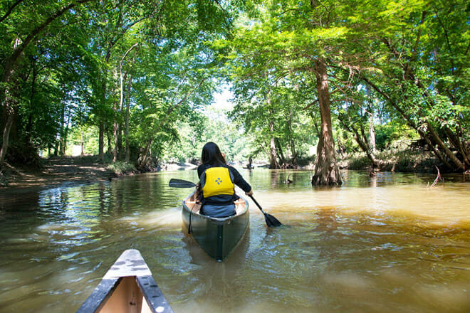 Fourche Creek Wetlands