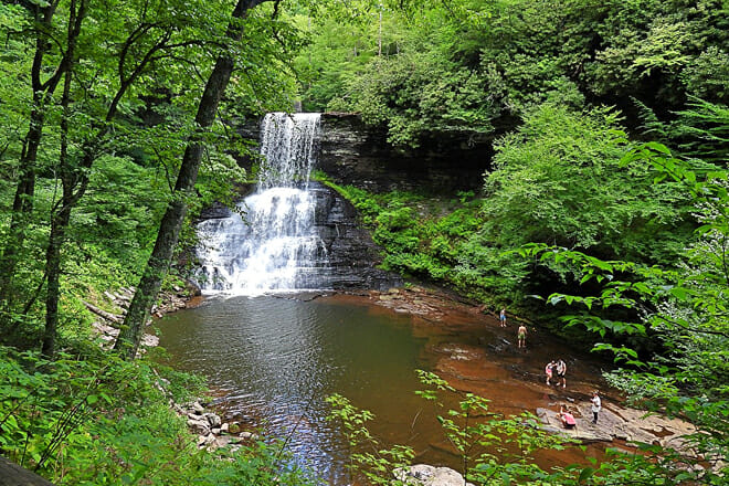 george washington and jefferson national forests