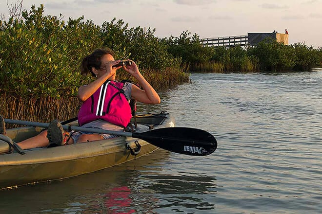 Great Texas Coastal Birding Trail