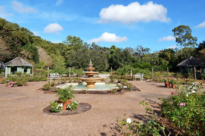 Harry P. Leu Gardens &mdash; Orlando