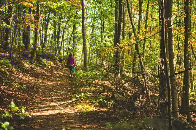 House Mountain State Natural Area