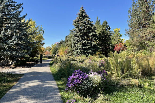 Kathryn Albertson Park
