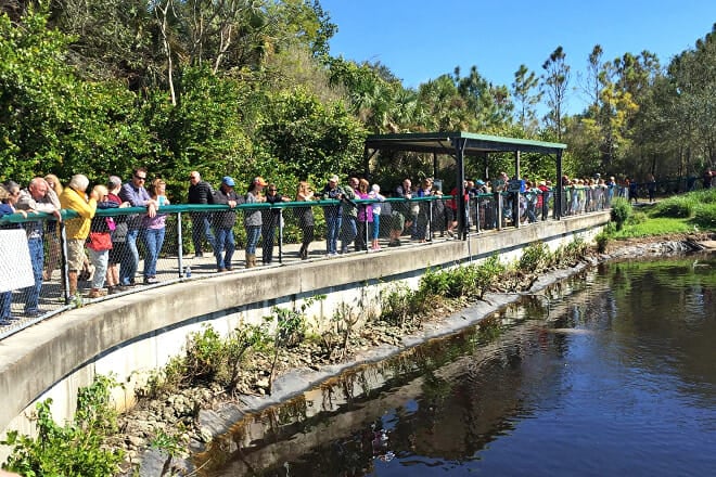Lee County Manatee Park