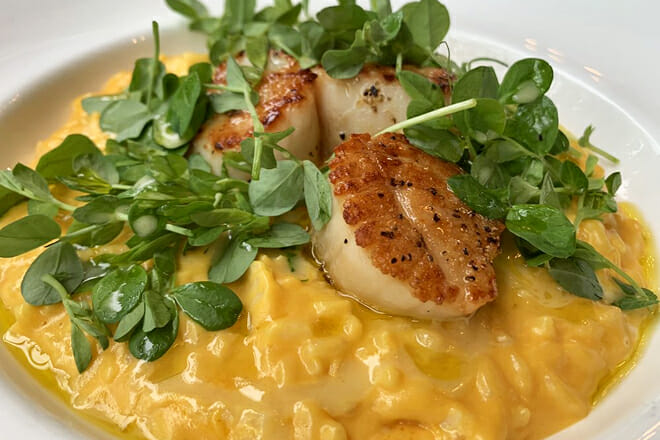 Lucia Restaurant & Bar