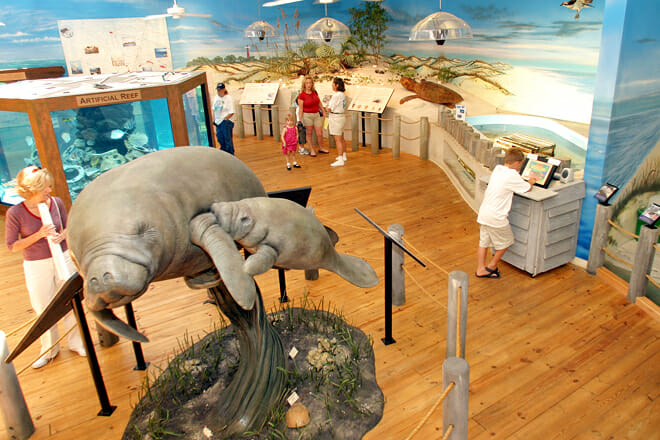 Marine Science Center