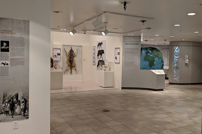 Maxwell Museum of Anthropology