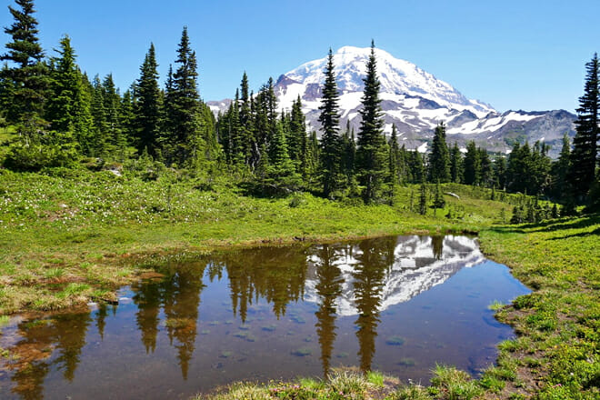 Mt. Rainier National Park