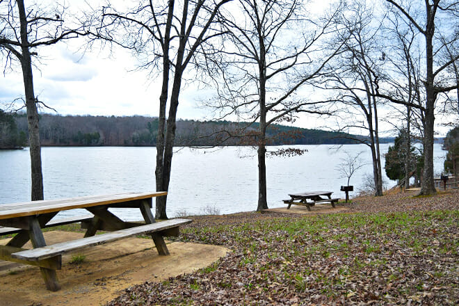 Natchez Trace State Park