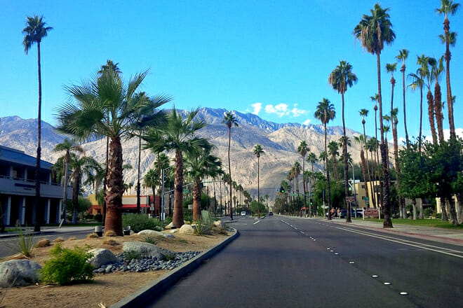 Palm Canyon Drive
